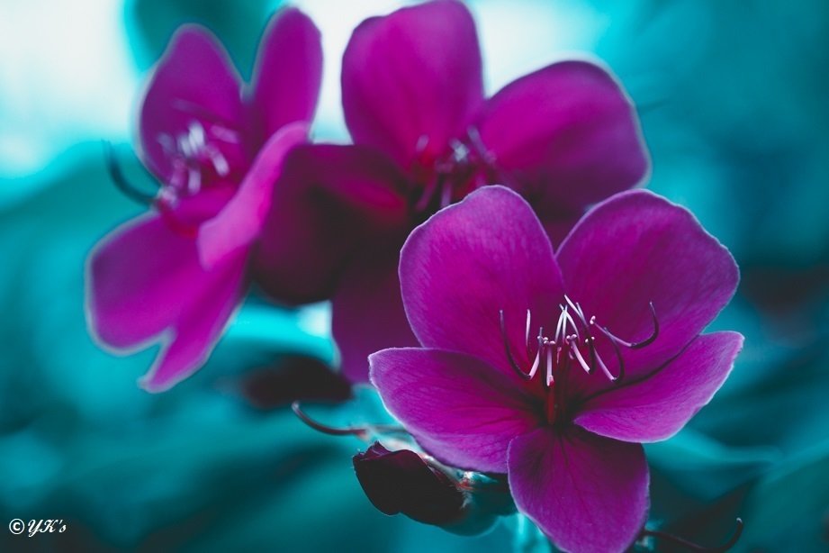 Nice To Know｜Yuka Kato