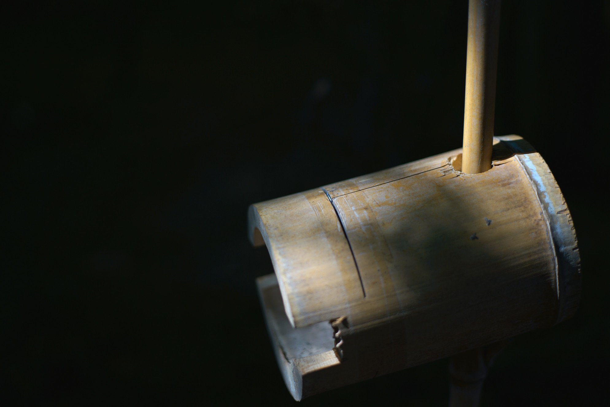 CONTAX G用 Planar 45mm F2 T* (Carl Zeiss) ｜コンタックスGマウントシステム｜SONY α7R2｜NON