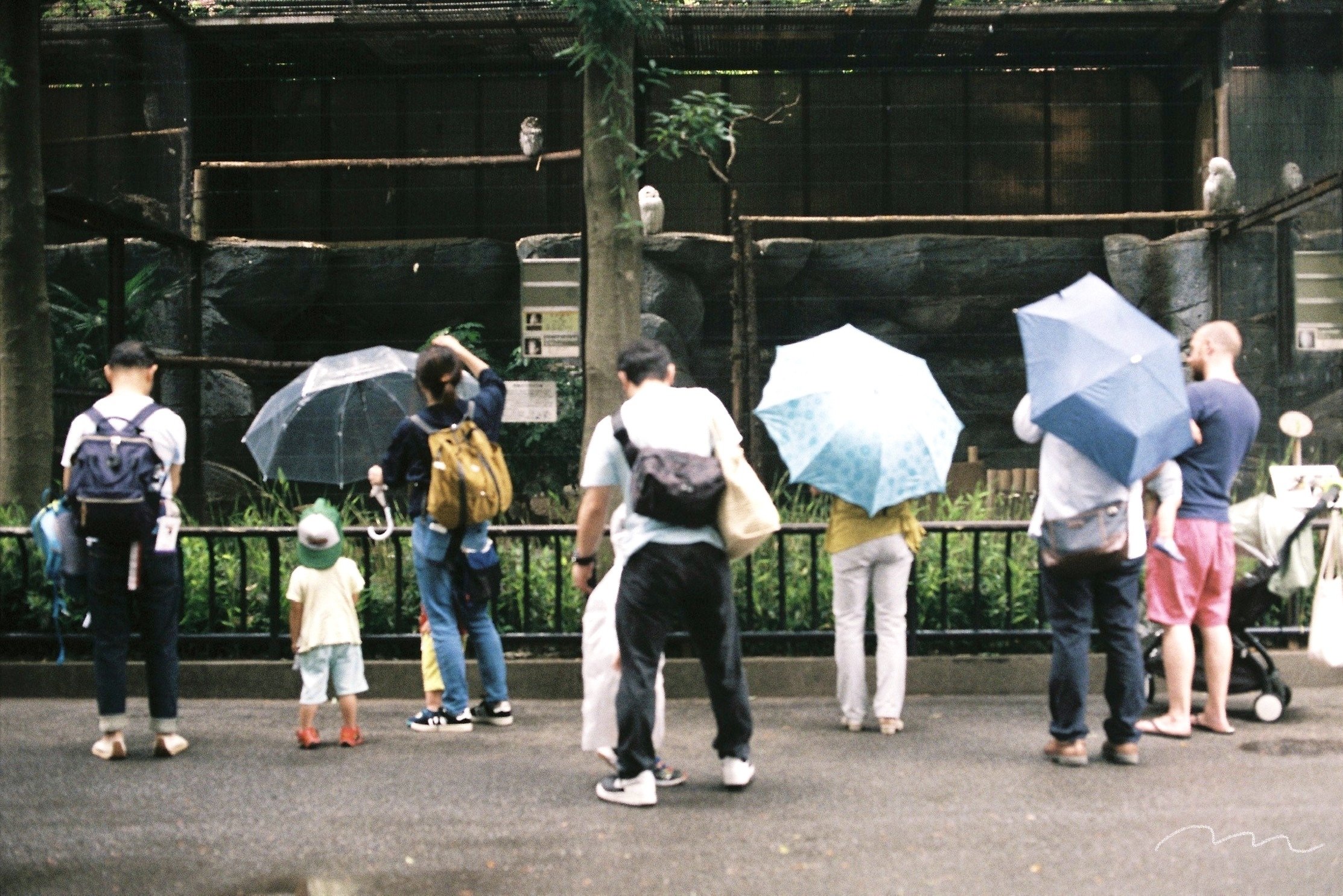 リングワンダリング｜miwa_n｜note