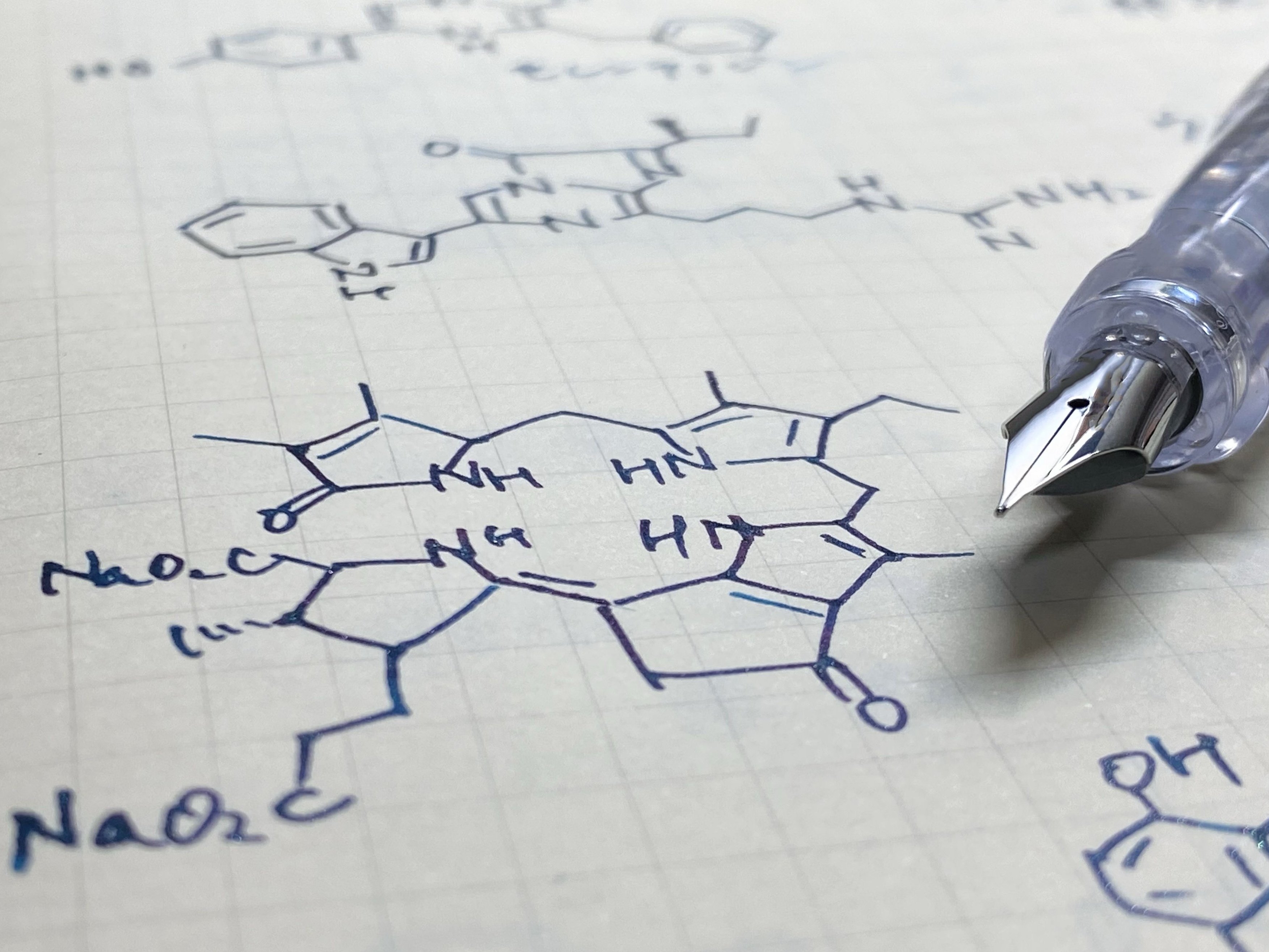 Writing｜INOUE Tomohiro