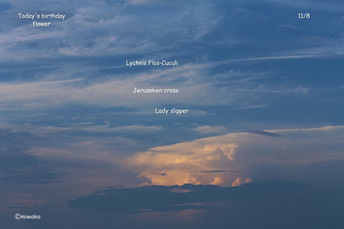 露隠葉月」の人気タグ記事一覧｜note ――つくる、つながる、とどける。