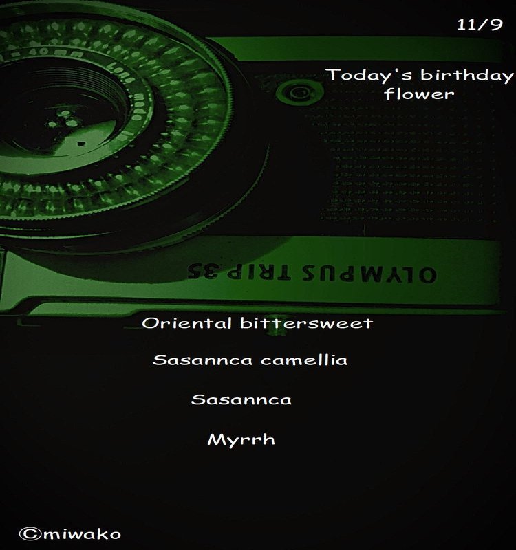 露隠葉月」の人気タグ記事一覧｜note ――つくる、つながる、とどける。