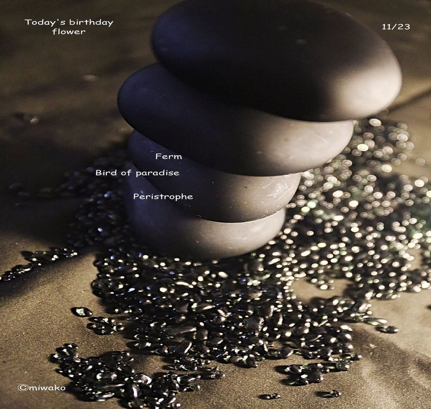 露隠葉月」の人気タグ記事一覧｜note ――つくる、つながる、とどける。