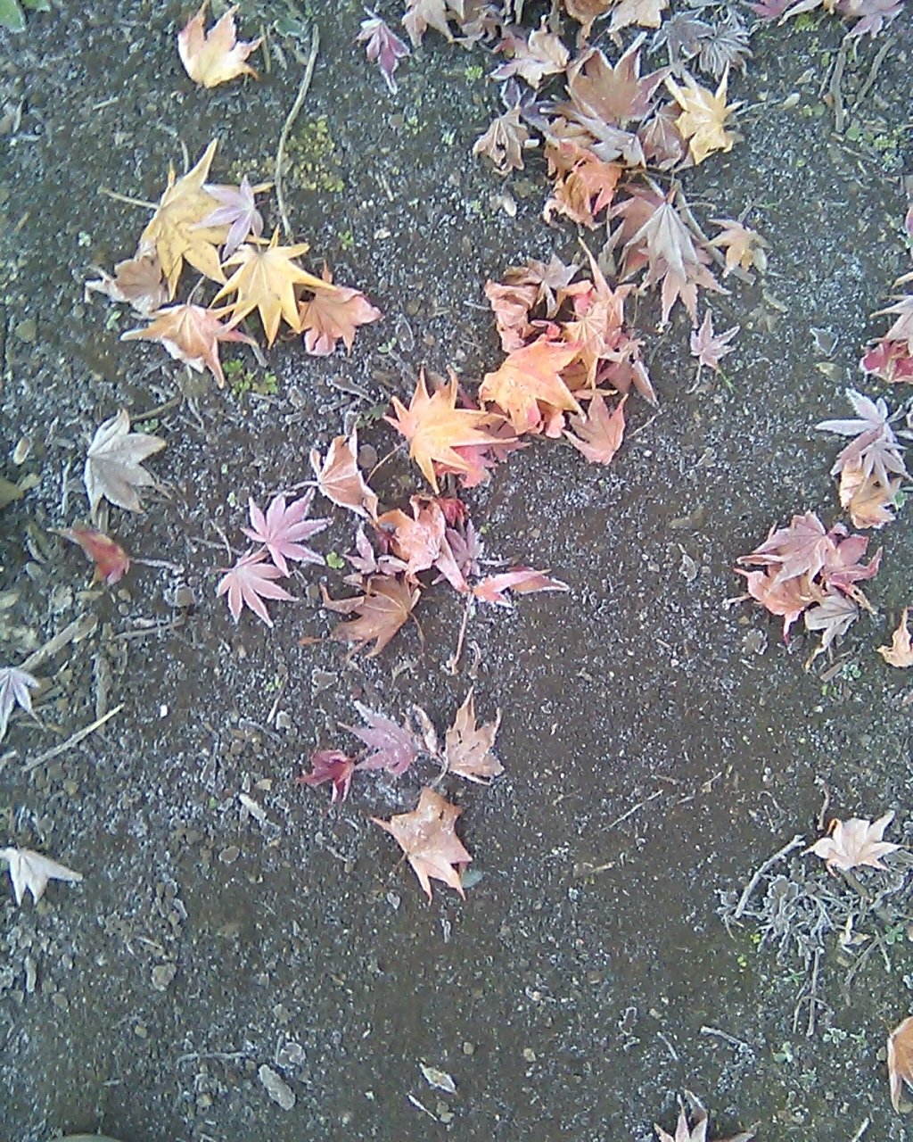 moOog yamamOTO｜note