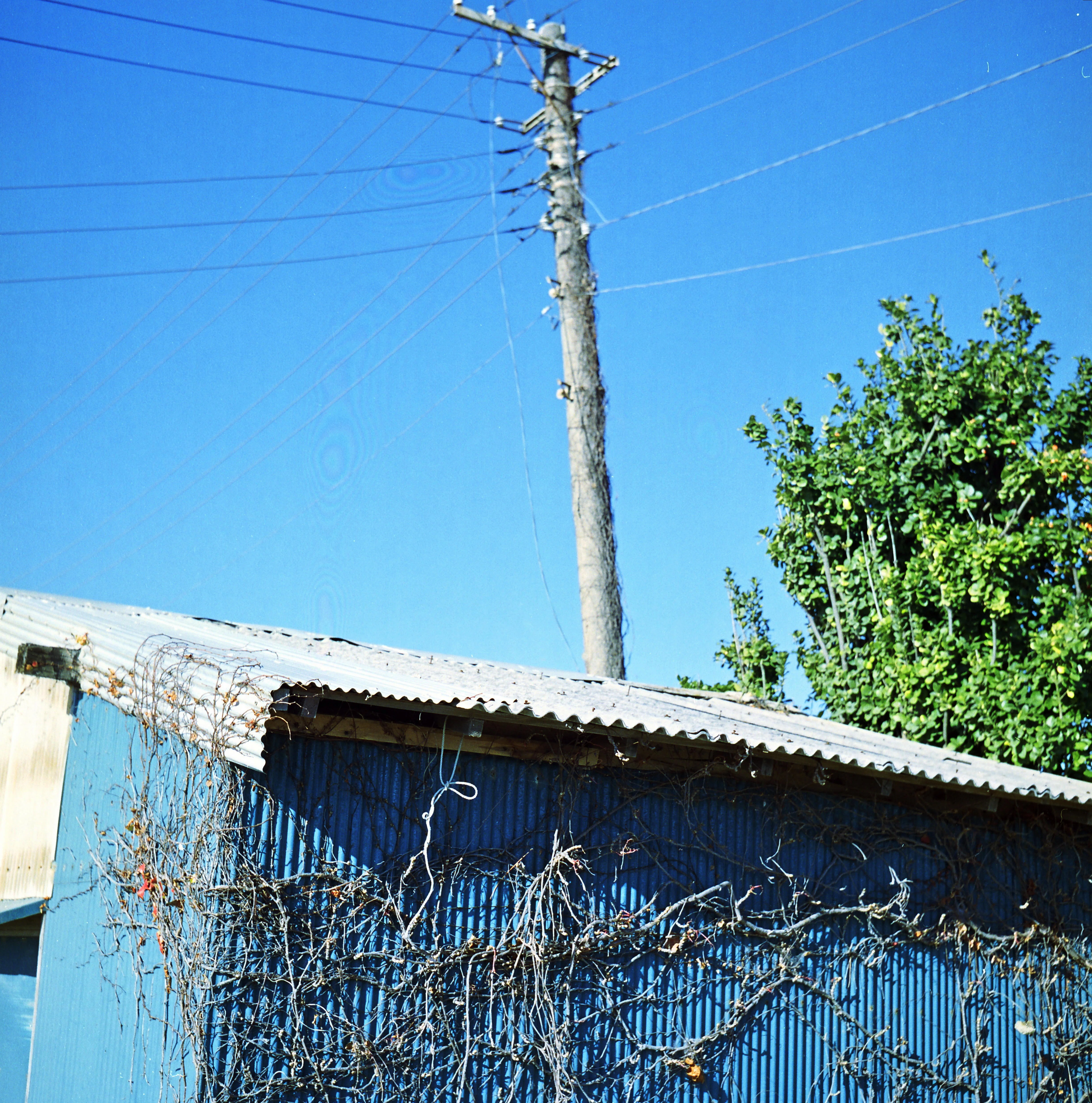 BLUE｜kirin