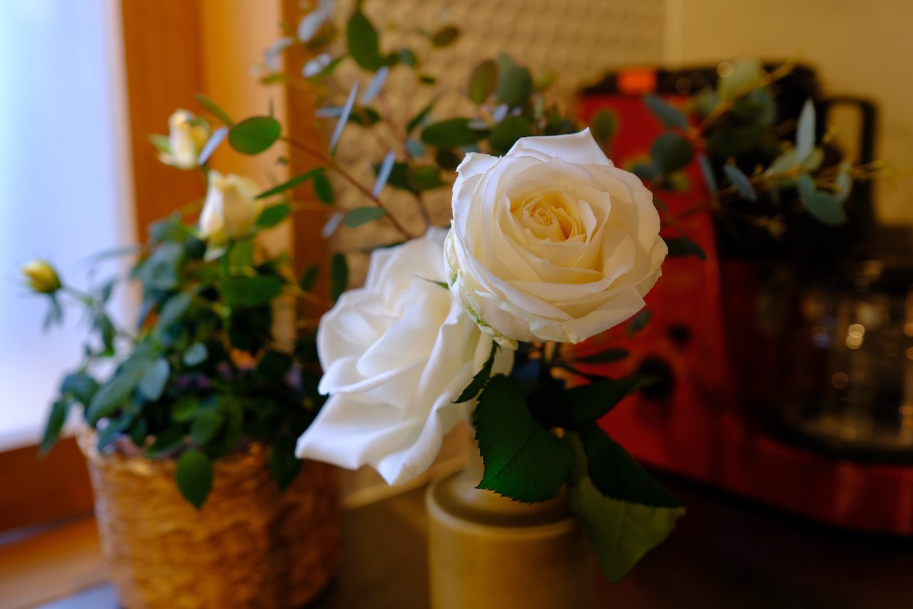 FUJIFILM X-T3 で全てのフィルムシミュレーションを試してみる｜temoki / Tomoki Kobayashi