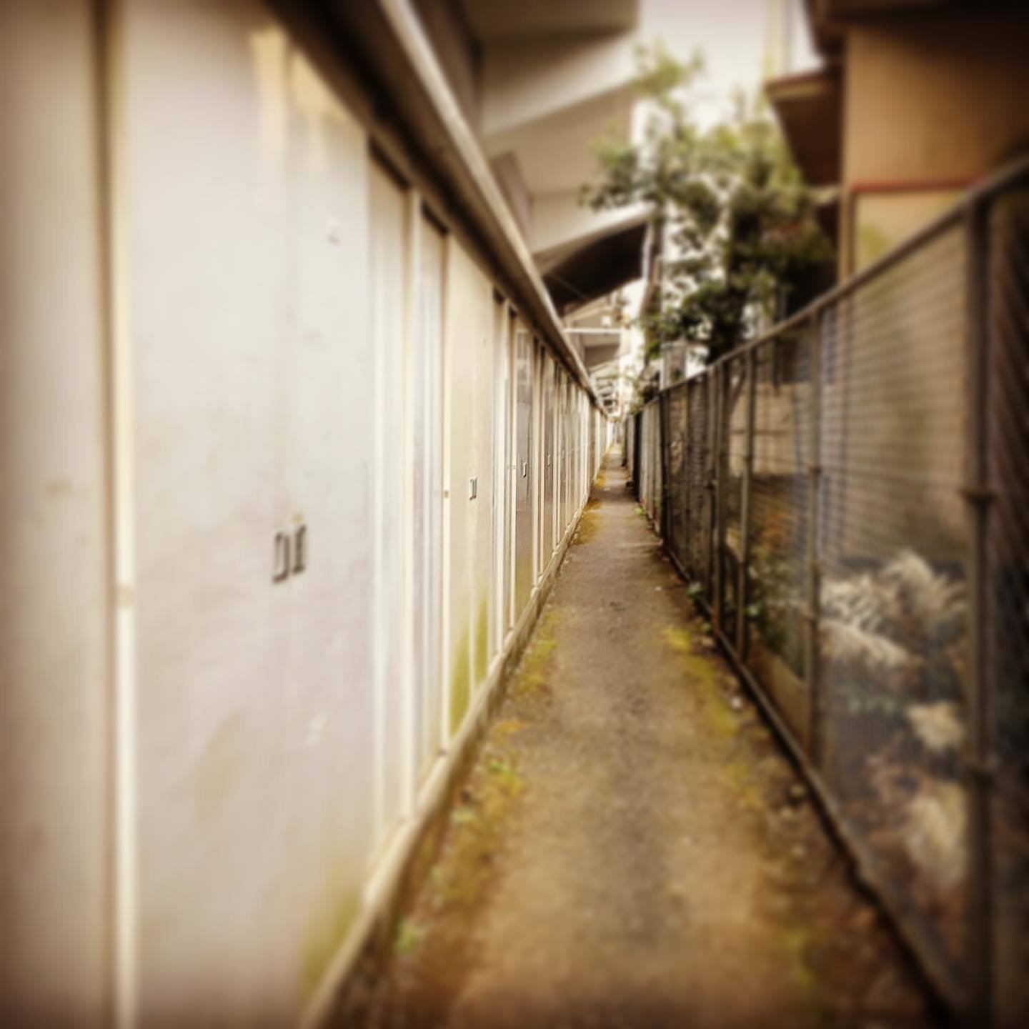 Tokyo 2nd lockdown day 60｜池谷恵司