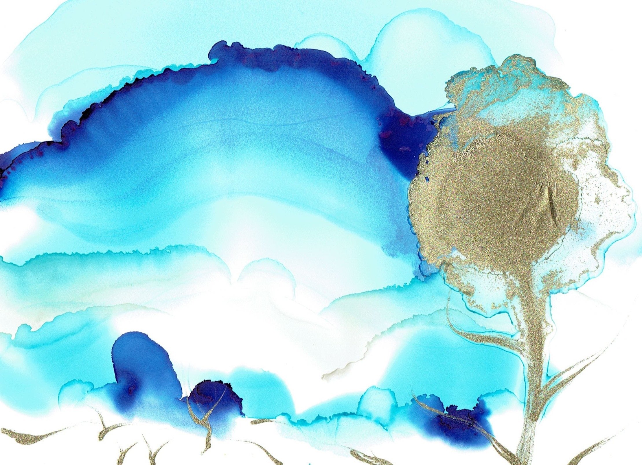 今日の一枚 No.51｜akari'n