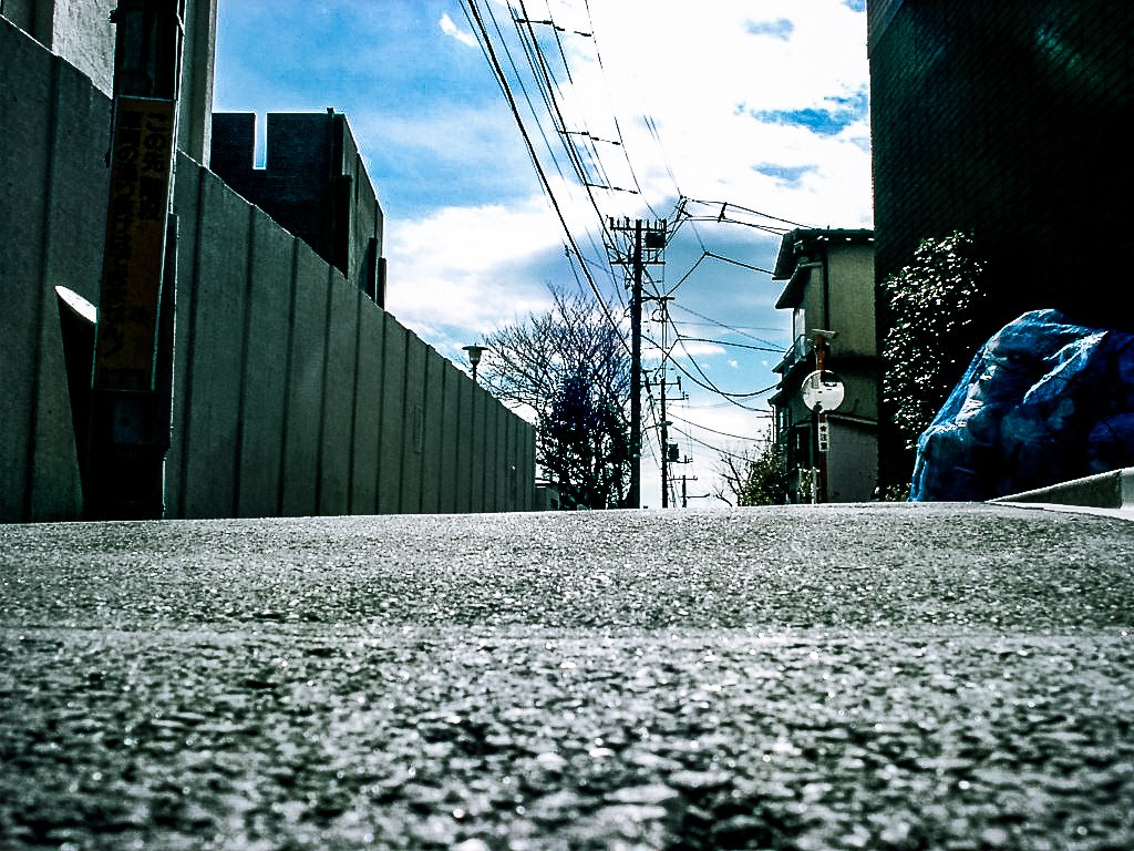 re-insectview_02｜Yasu Koma