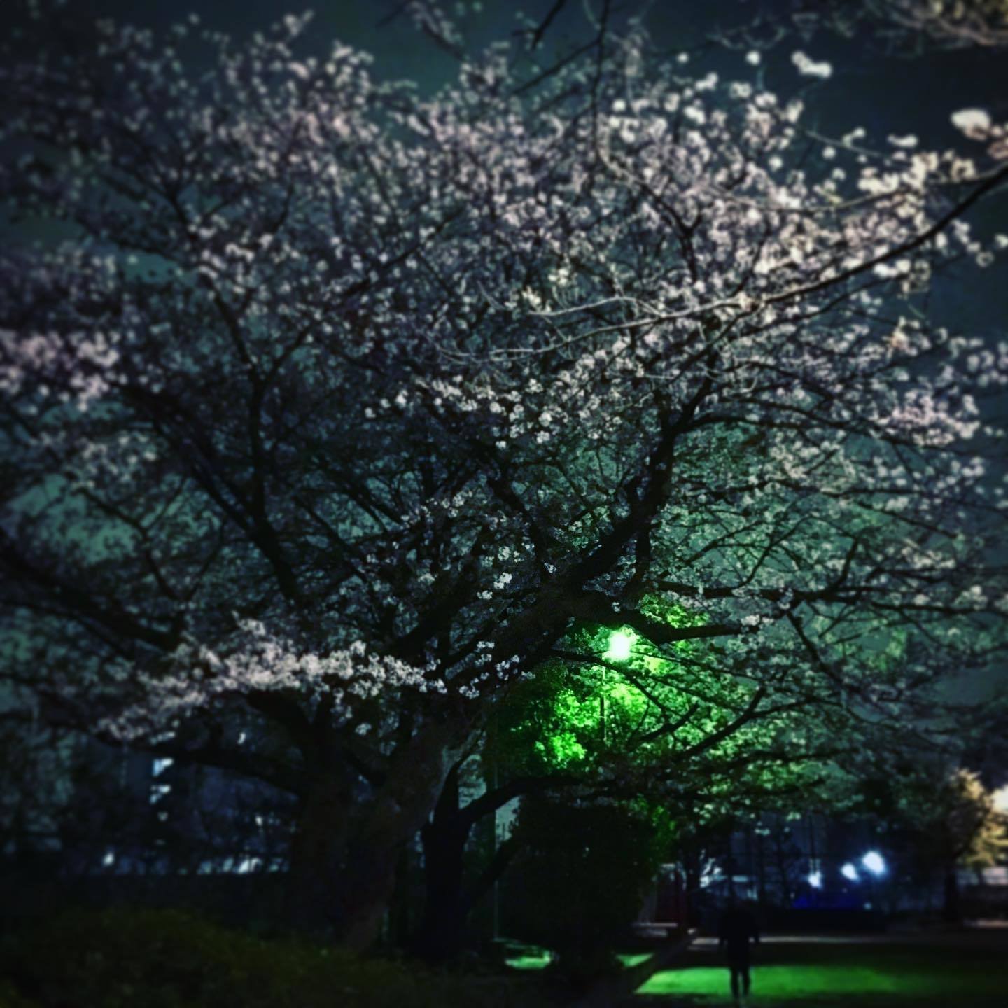 Tokyo 2nd lockdown day (82)｜池谷恵司