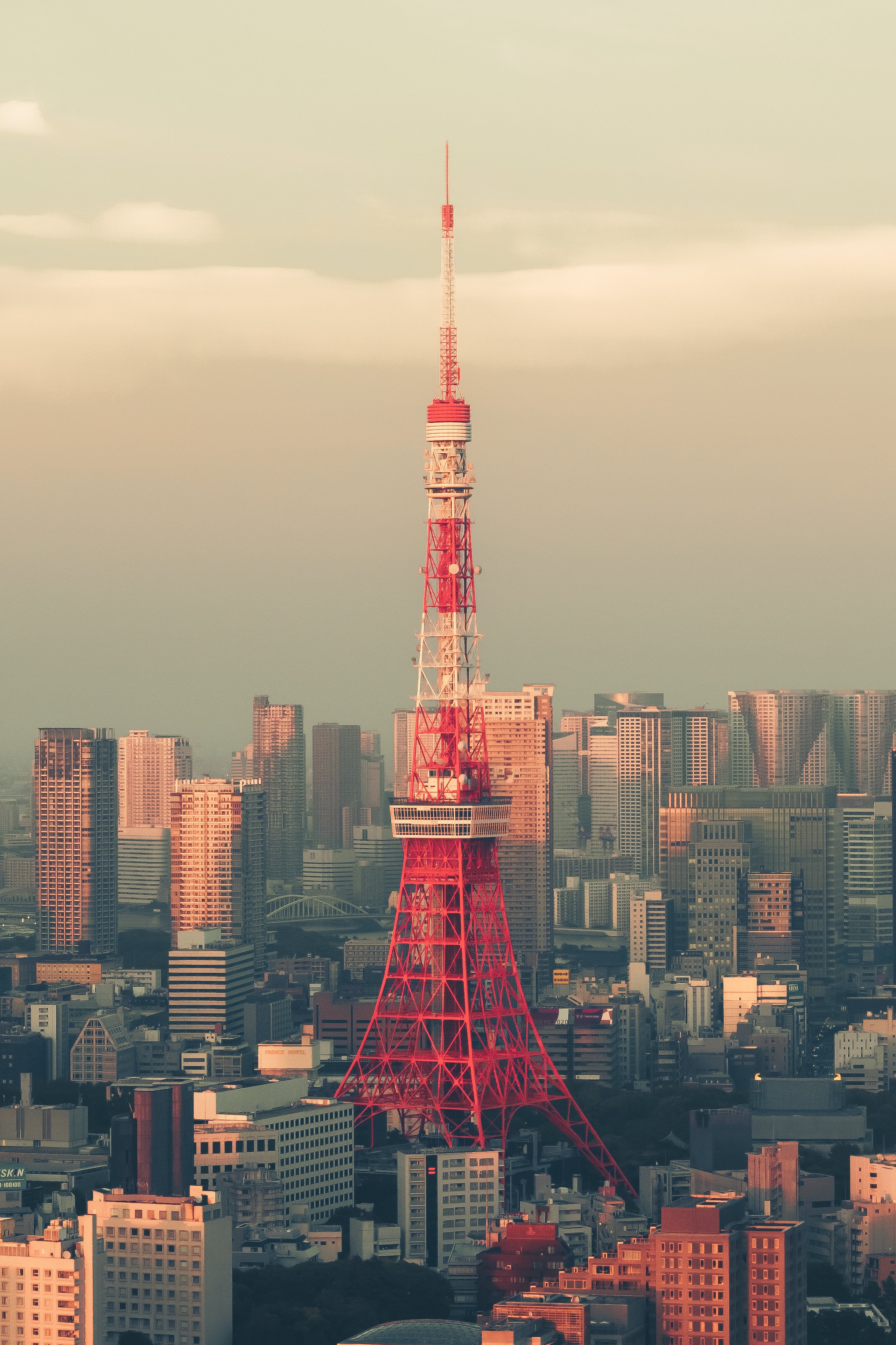 Tokyo Tower soaking up the sunset / 夕陽を浴びる東京タワー｜TAKU