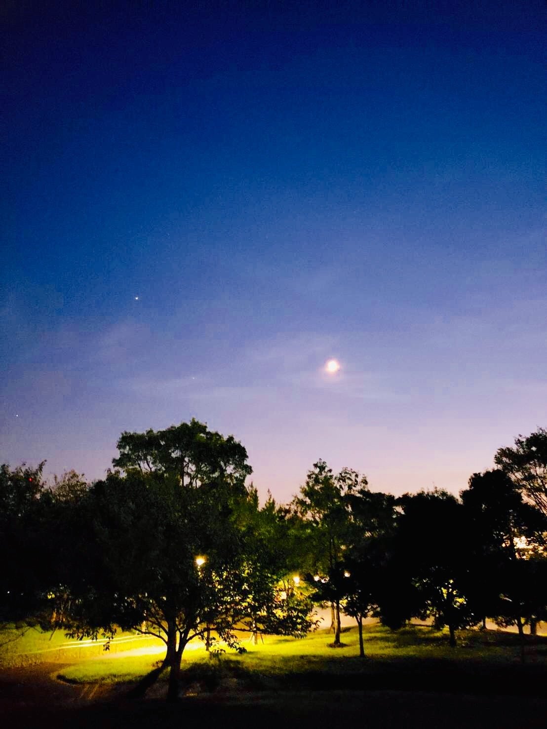 湯気と勇気 #花束郵便｜suzuco｜note