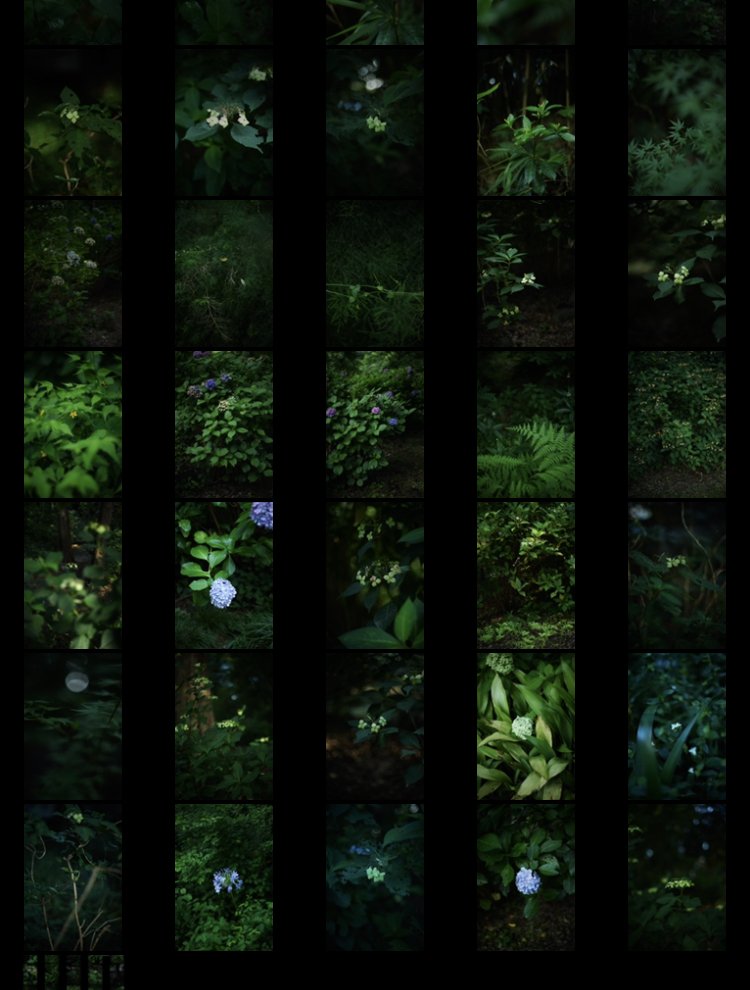 作品更新｜shin ikegami