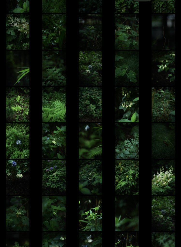 作品更新｜shin ikegami