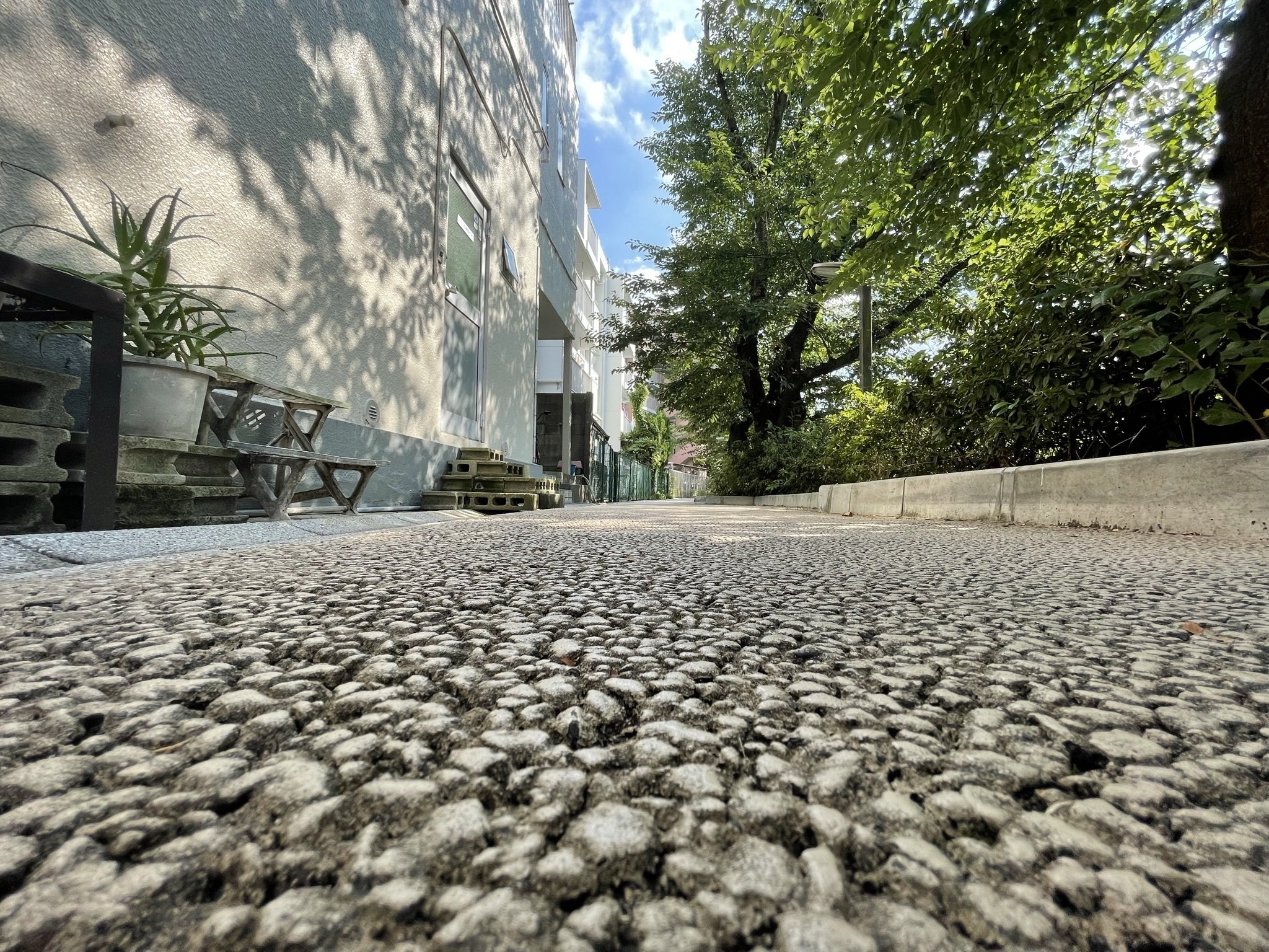 re-insectview_27｜Yasu Koma