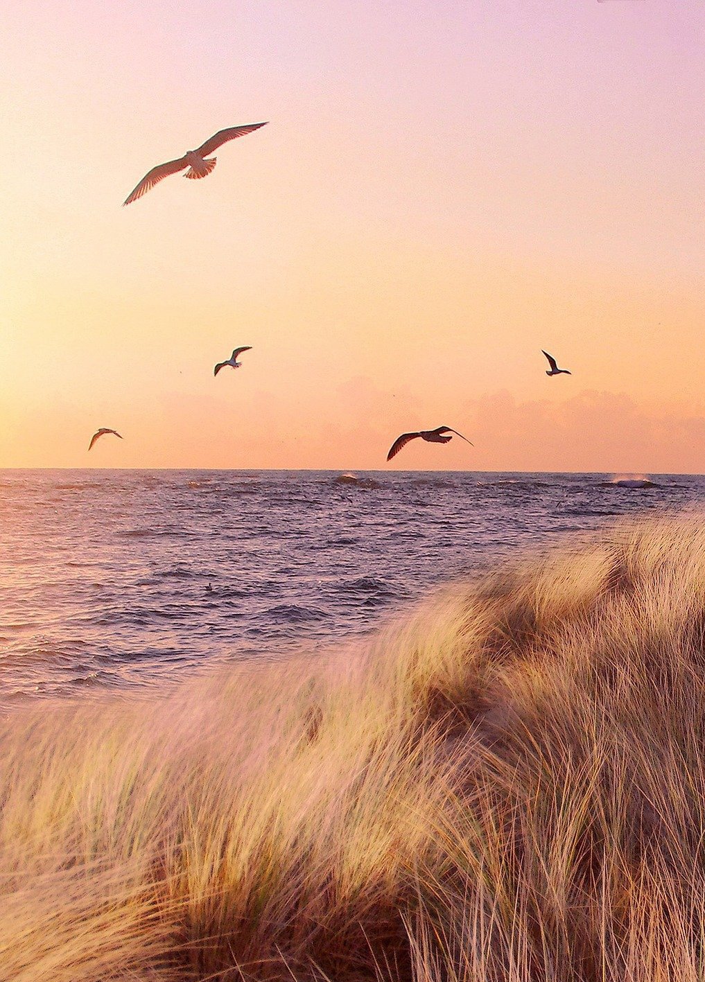 Ryota【孤島物語】毎日更新｜note