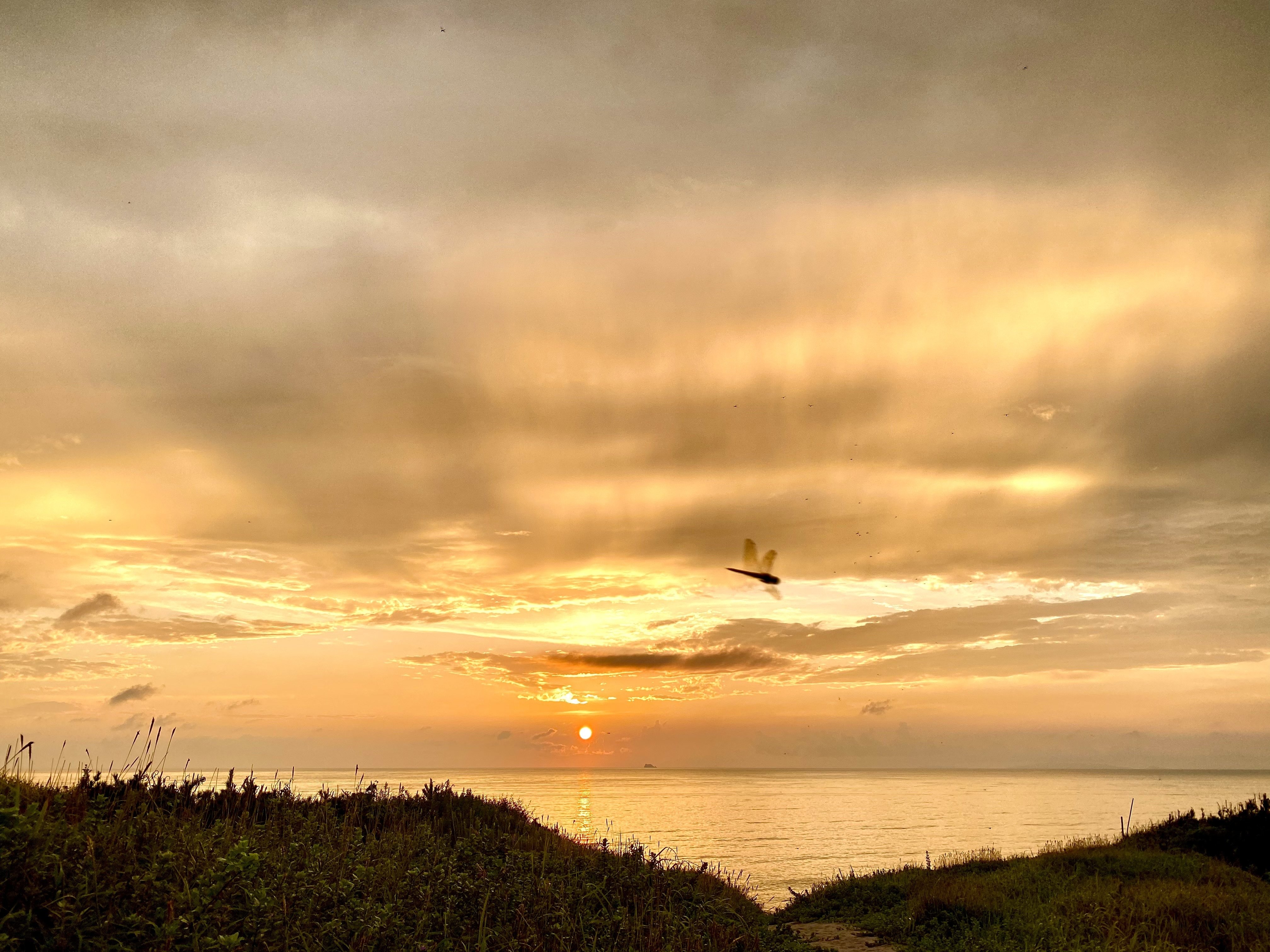 束の間の晴れた日の夕暮れ｜TresMe@Keisuke｜note