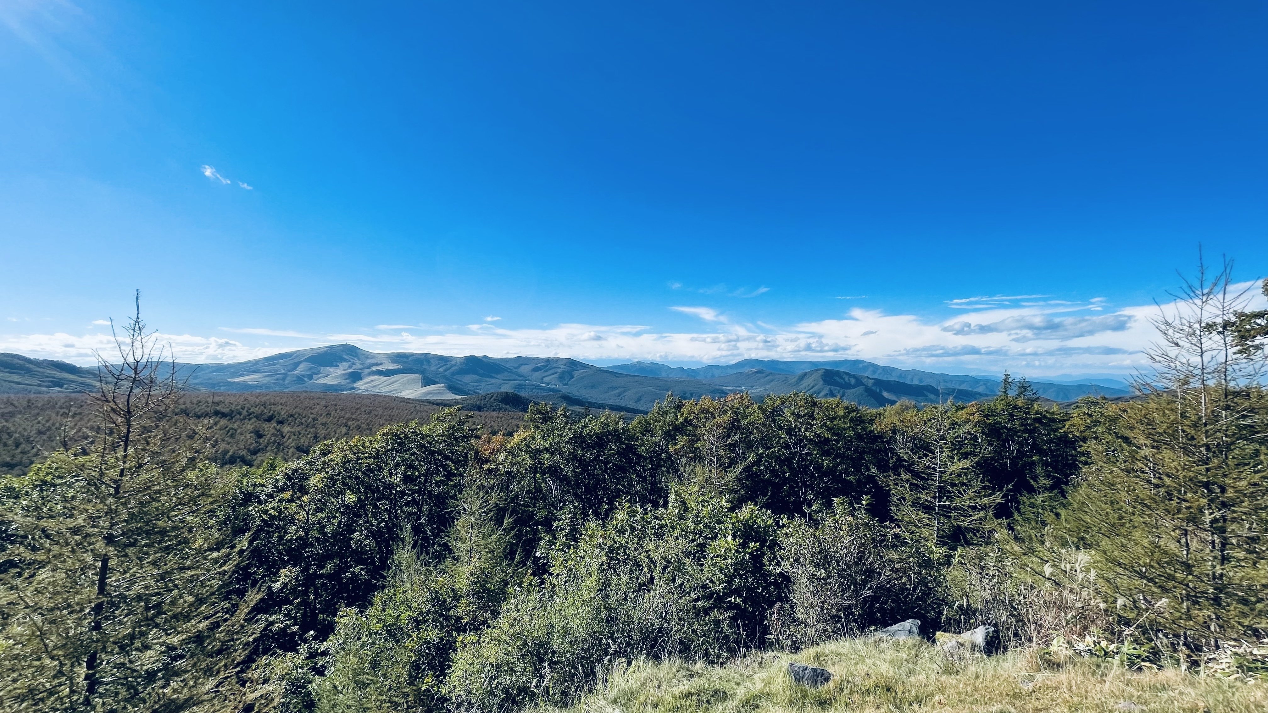 蓼科にて｜MIKI-ISO