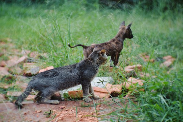 Crystal Chung｜note