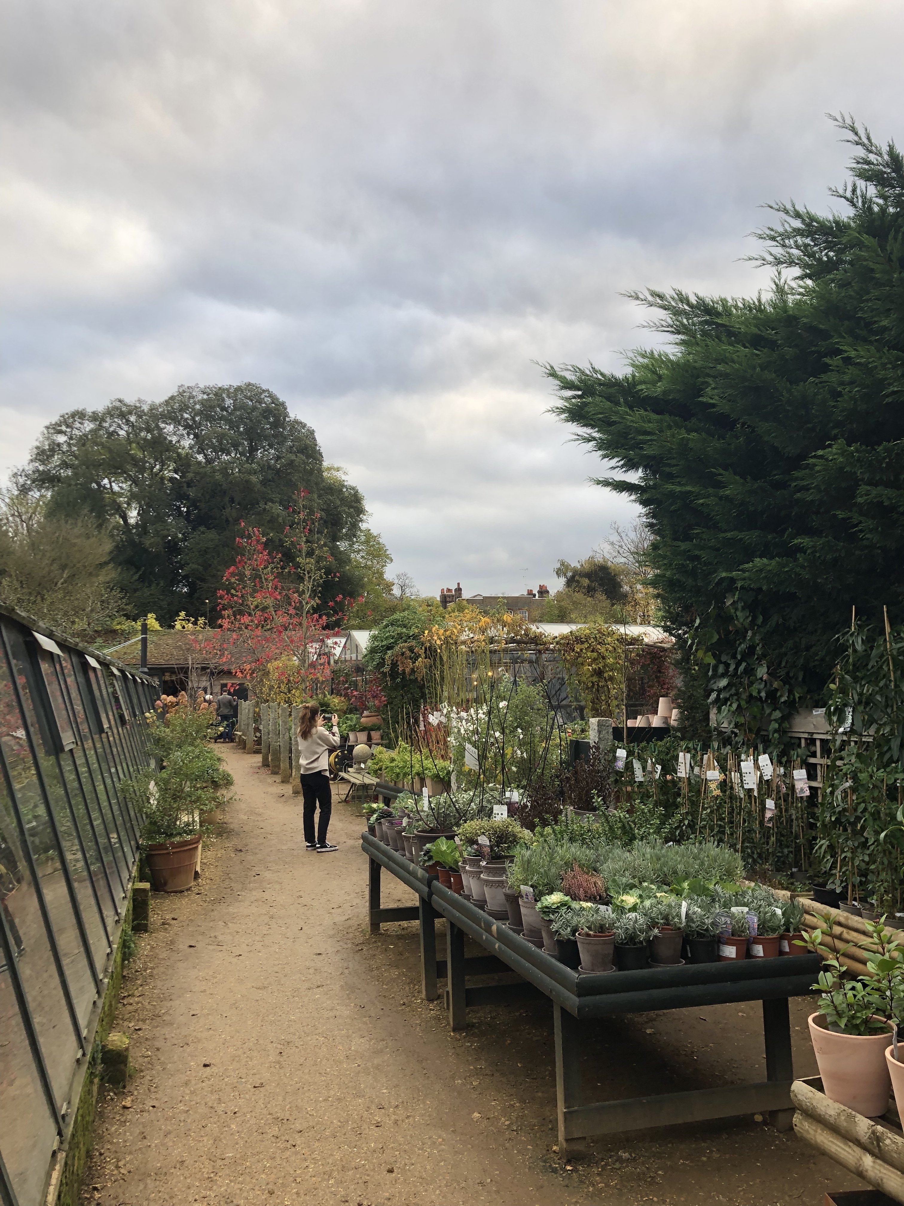 UK photos - Petersham Nurseries, Richmond #2｜ted2lasvegas｜note