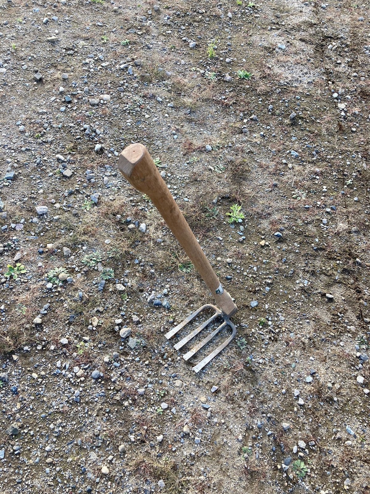 お庭 開墾 事始め｜Tomoyuki Oi