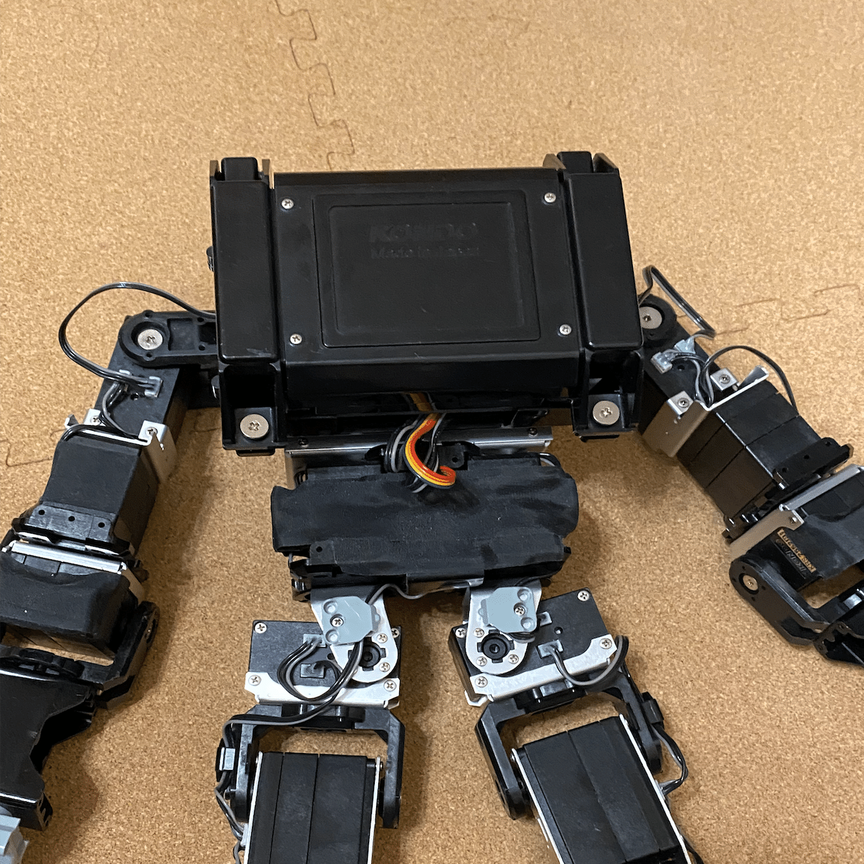 Meridian Board Type.K 完成｜Ninagawa123｜note