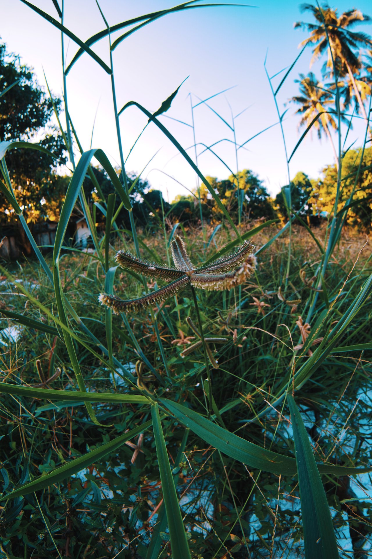 Crystal Chung｜note