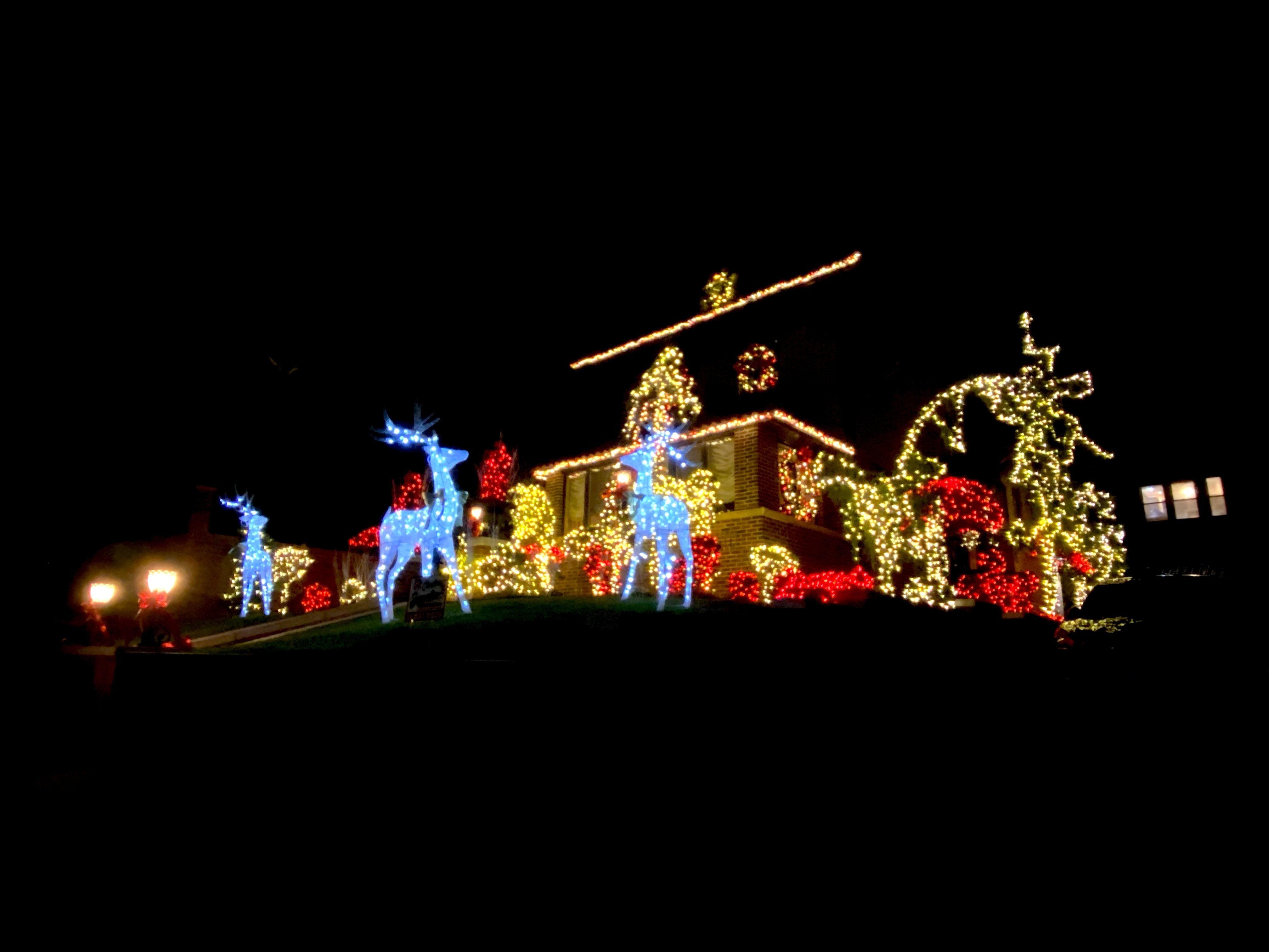 Photo｜Shintaro Tanaka｜The Dyker Heights Christmas Lights, Brooklyn｜12.15.2021｜田中真太郎｜Shintaro ...