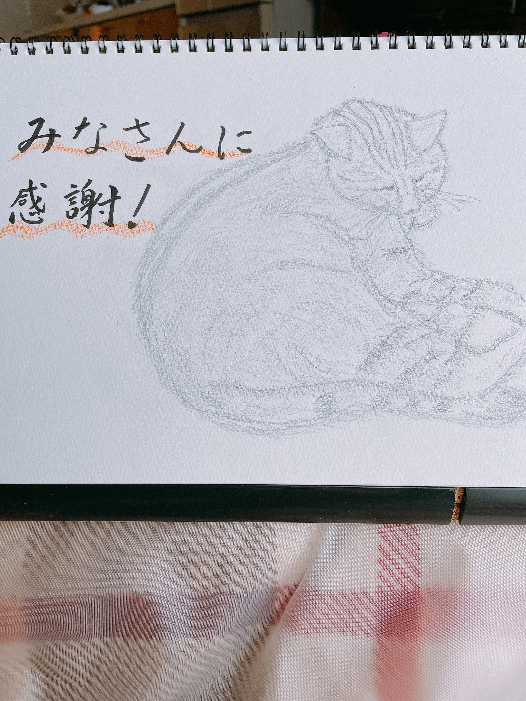 今日の一枚です｜vvww_mo