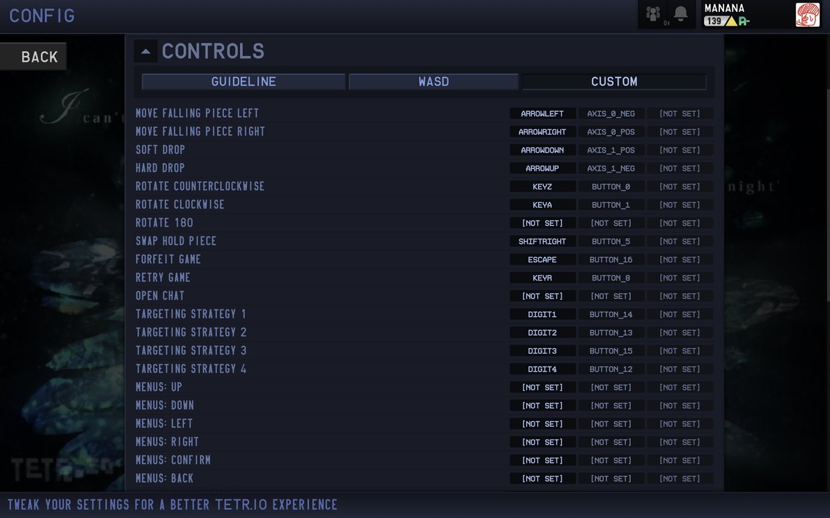 TETR.IO 解説 設定編｜まにゃーな