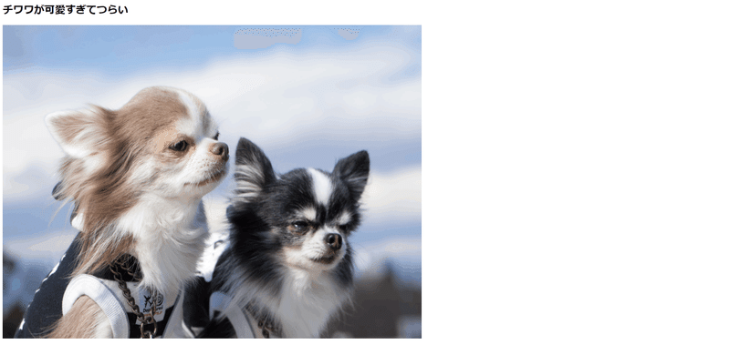 WEBデザイン日記ー14日目｜shimo_t｜note