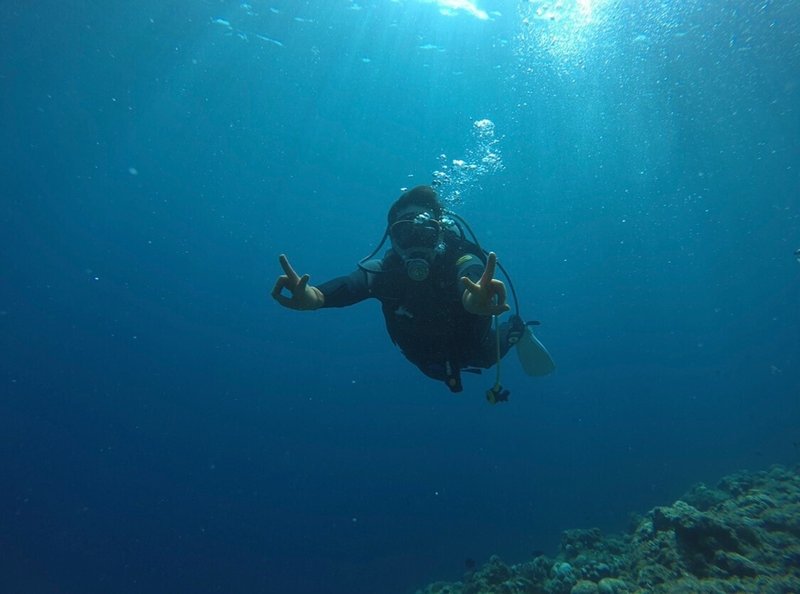 いざPOOLOの世界へ🌏｜Rikako｜note