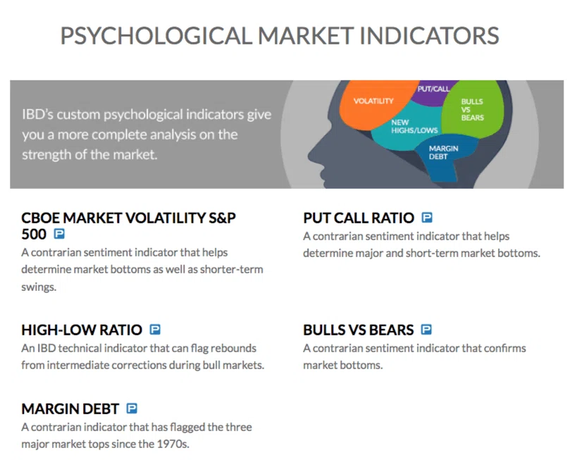 MarketSmithを用いた銘柄検索手順について｜Leo