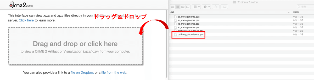 初心者の菌叢解析 Qiime2で解析(13) PICRUSt2の使い方編｜Nanaimo