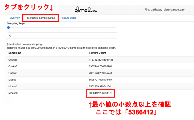 初心者の菌叢解析 Qiime2で解析(13) PICRUSt2の使い方編｜Nanaimo
