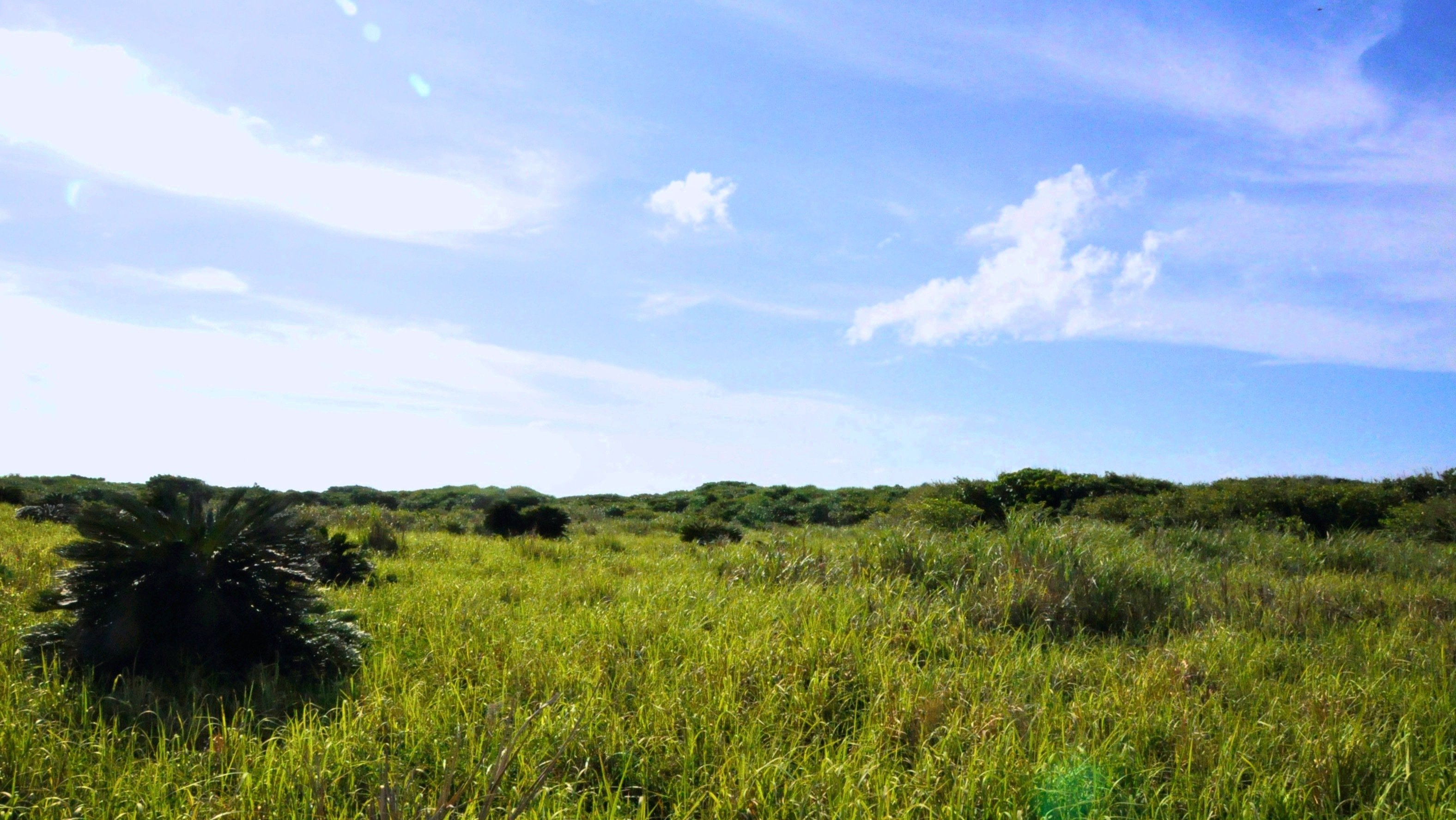 【写真】悠久のとき / Flow in the nature｜Kaori Harada｜note