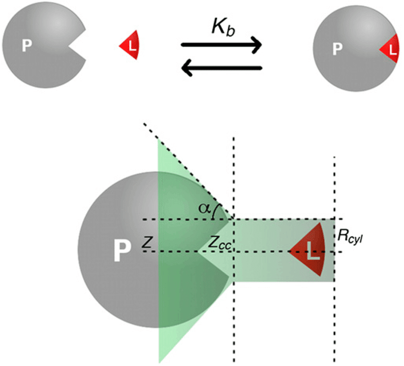 Funnel Metadynamics｜nori