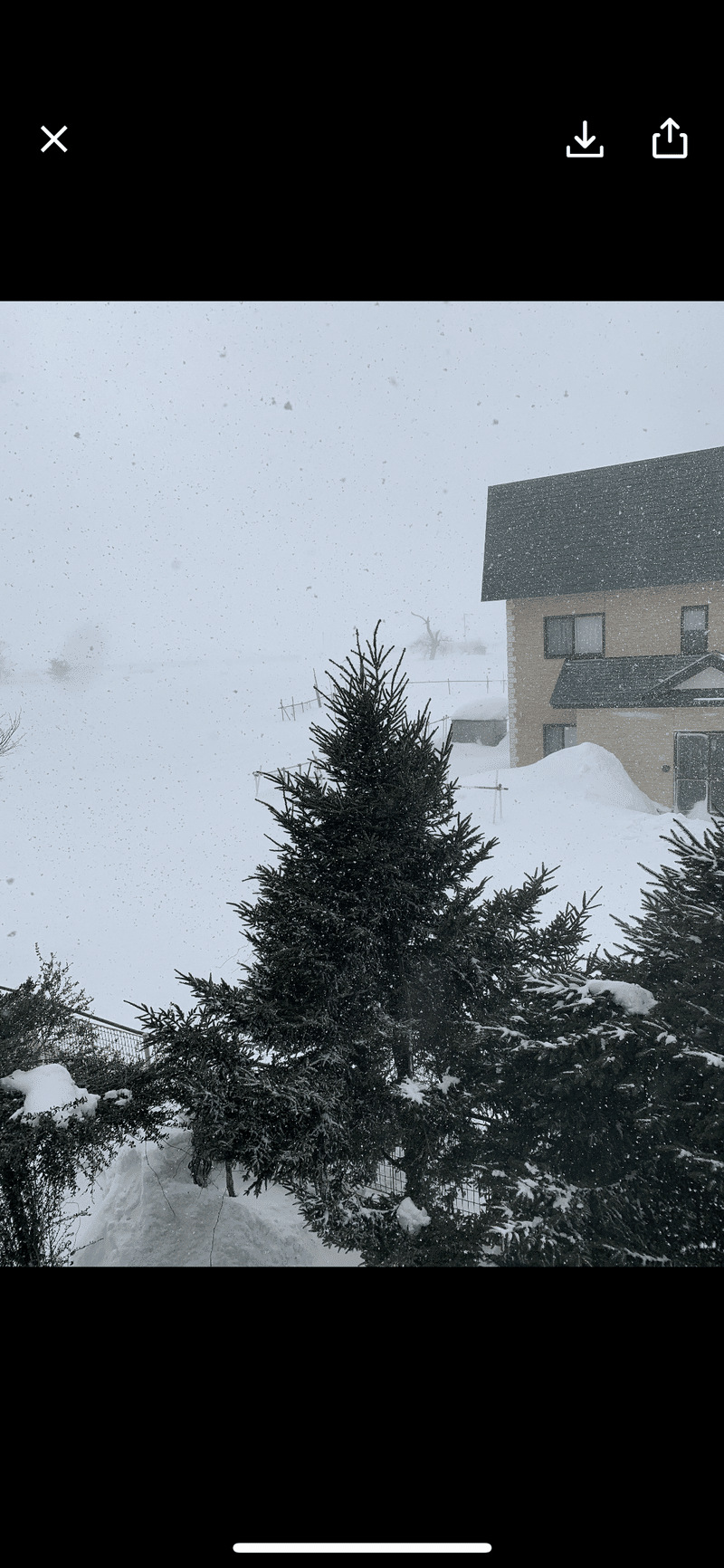 ネタもないので・・・｜sinmaruken