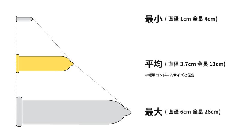 【正しく知ろう】男性のサイズ。｜Sexual Lifehack