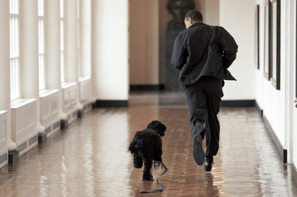 動物と暮らす。 Vol.23｜HEKA Petlife株式会社