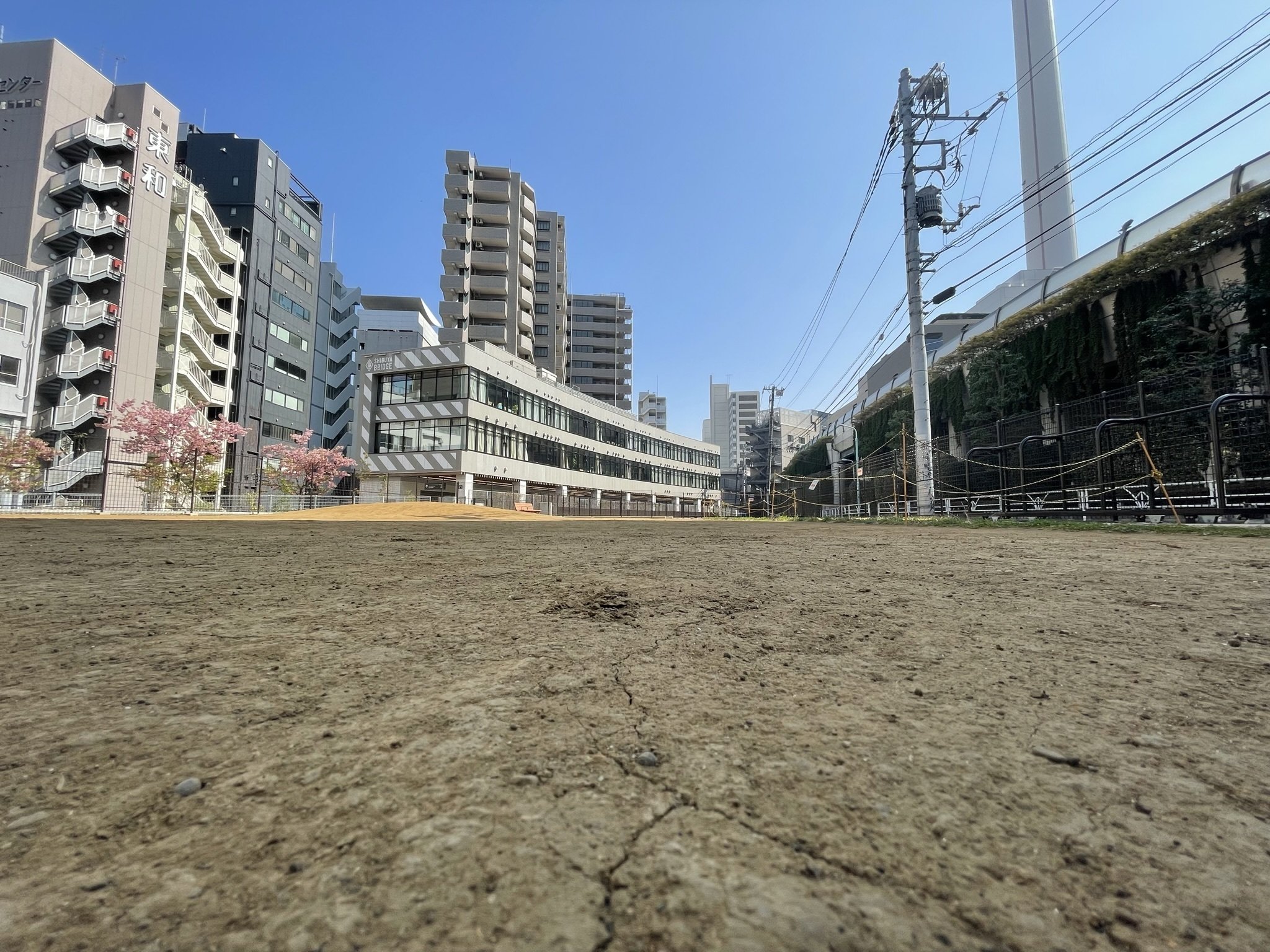 re-insectview_42｜Yasu Koma