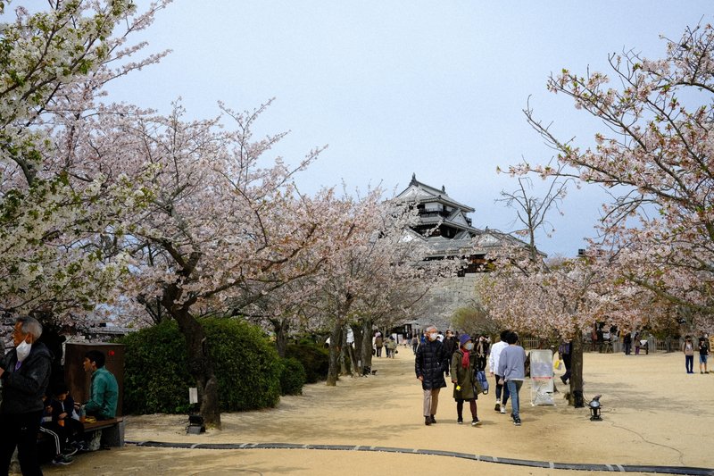 note2周年記念。そしてX100Vで撮る桜｜utsuno｜note