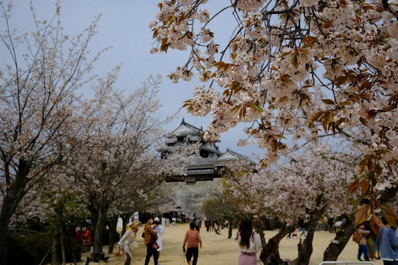 note2周年記念。そしてX100Vで撮る桜｜utsuno｜note