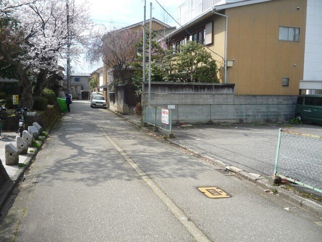 桜の花がきれいです｜koichi sugihara｜note