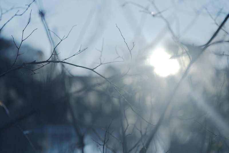 Flower｜Ryui｜note