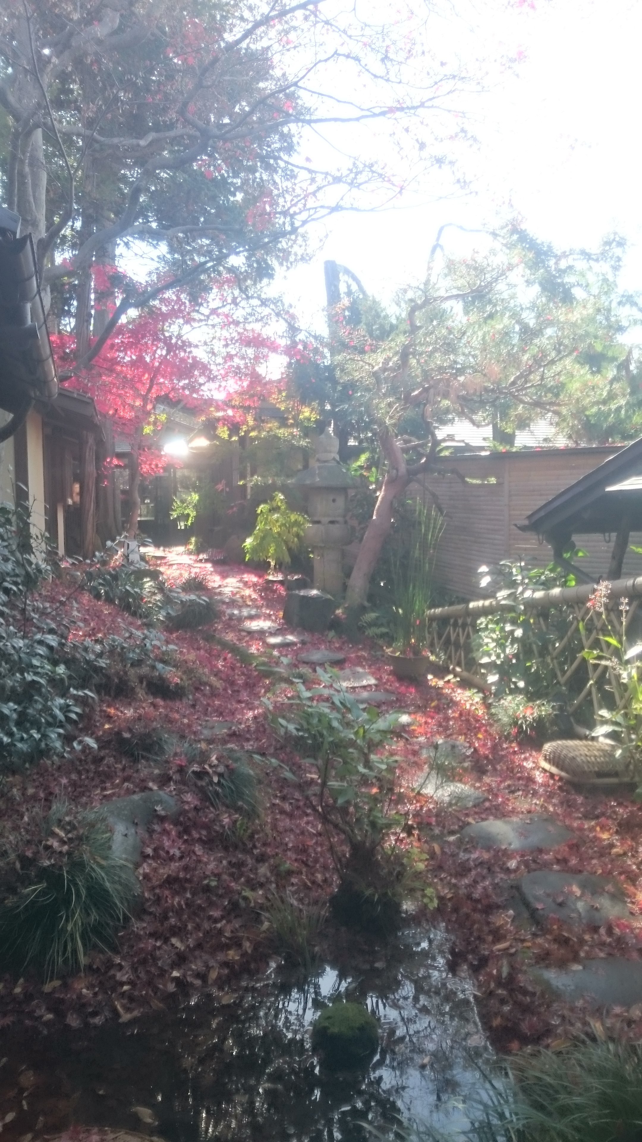 パワー！｜rupi｜note