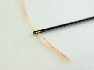 針穴にニンジンを通す ―糸ニンジンー｜マスター