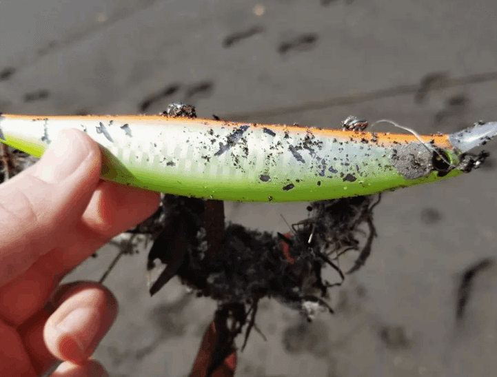 動物と暮らす。 Vol.30｜HEKA Petlife株式会社