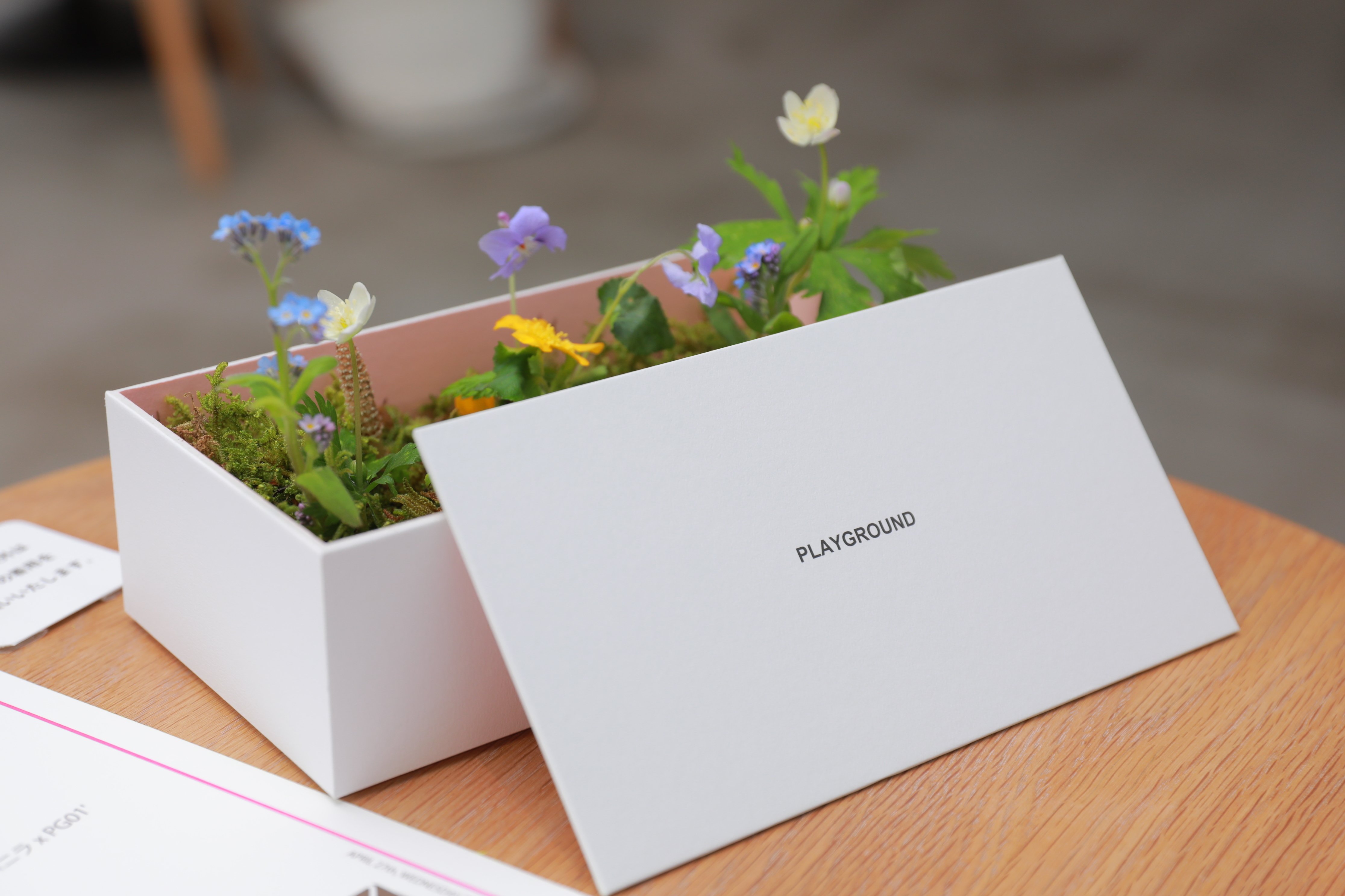 PLAYGROUND spring pop up bar PHOTO ALBUM 01｜OtsukaYosuke 大塚陽介