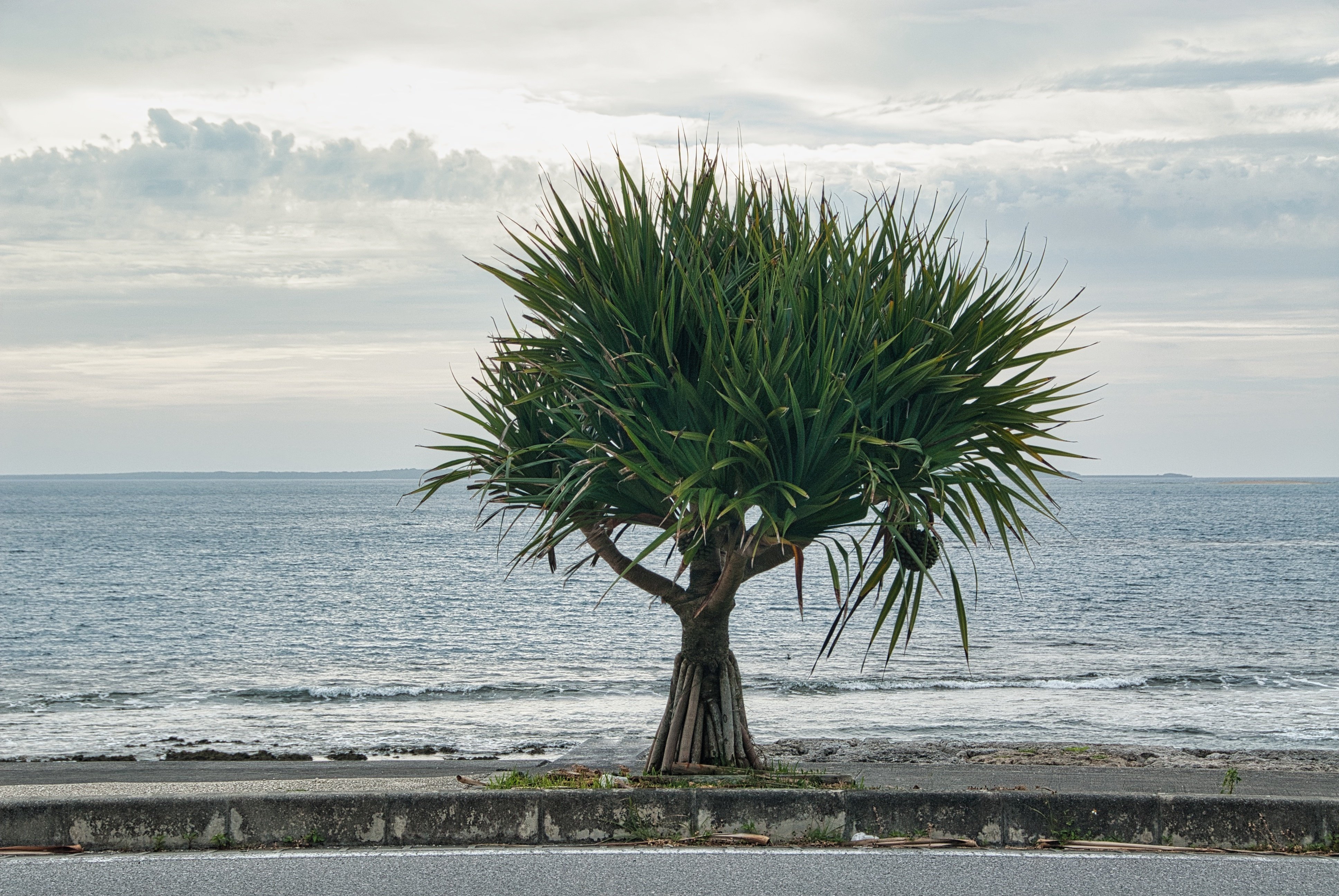 サンサンストリートの景色｜38gi.ryu｜note